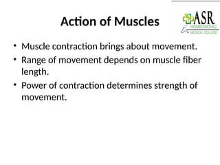 Action of Muscles ppt by Priscilla Jasper Vedam Vemavarapu @ASRHMC | PPTX