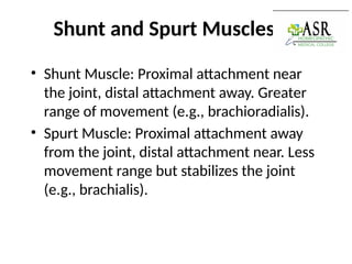 Action of Muscles ppt by Priscilla Jasper Vedam Vemavarapu @ASRHMC | PPTX