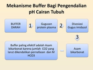 Ppt urine | PPTX