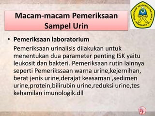 Ppt urine persentaion | PPTX