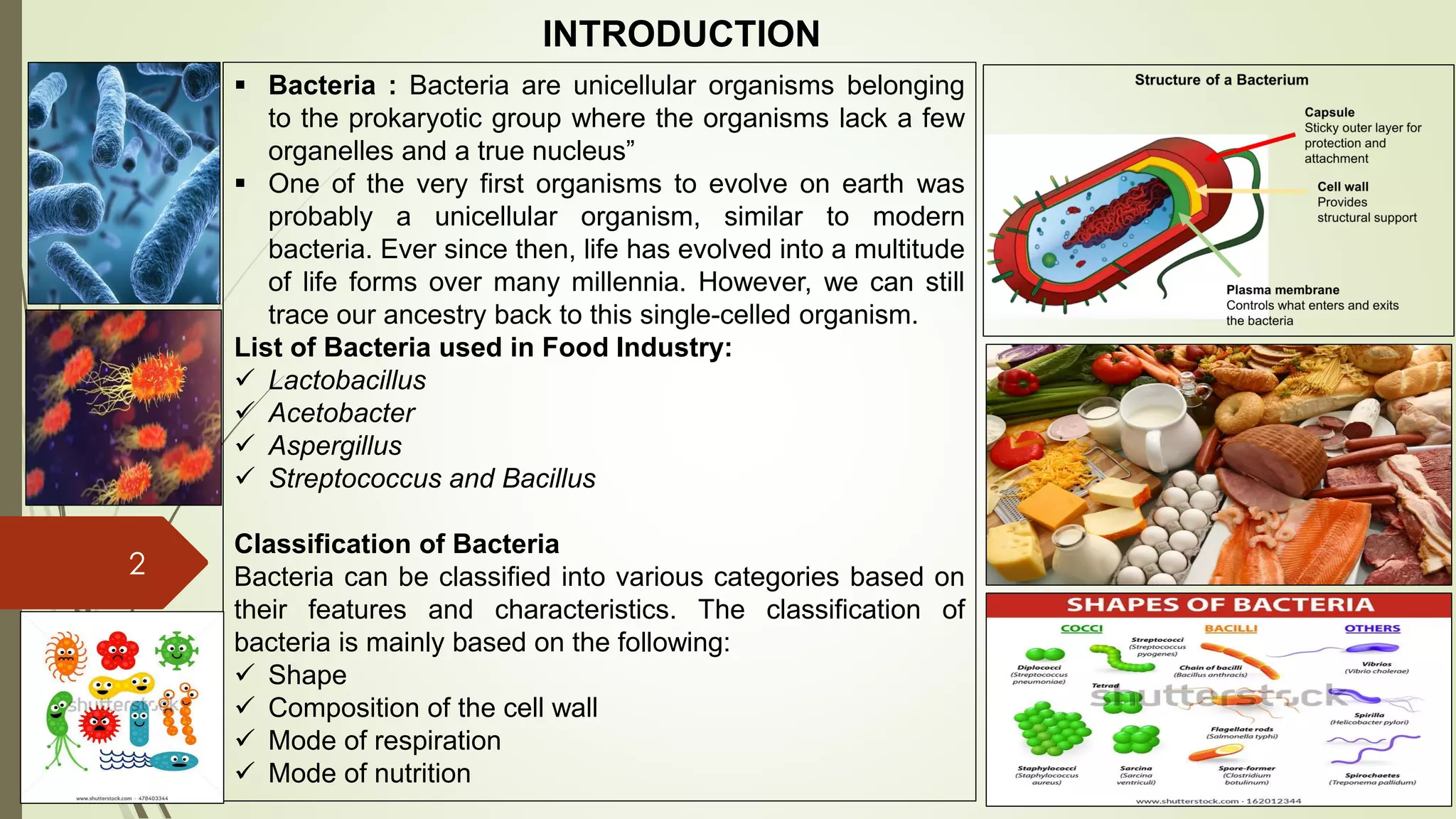 Usage of Bacteria in food industries | PDF