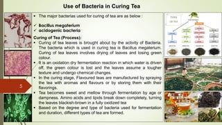 Usage of Bacteria in food industries | PDF