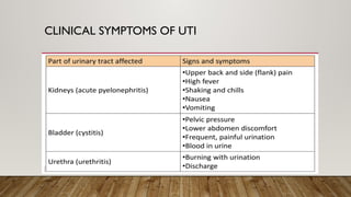 Urinary Tract Infection, their symptoms, and risks | PPTX