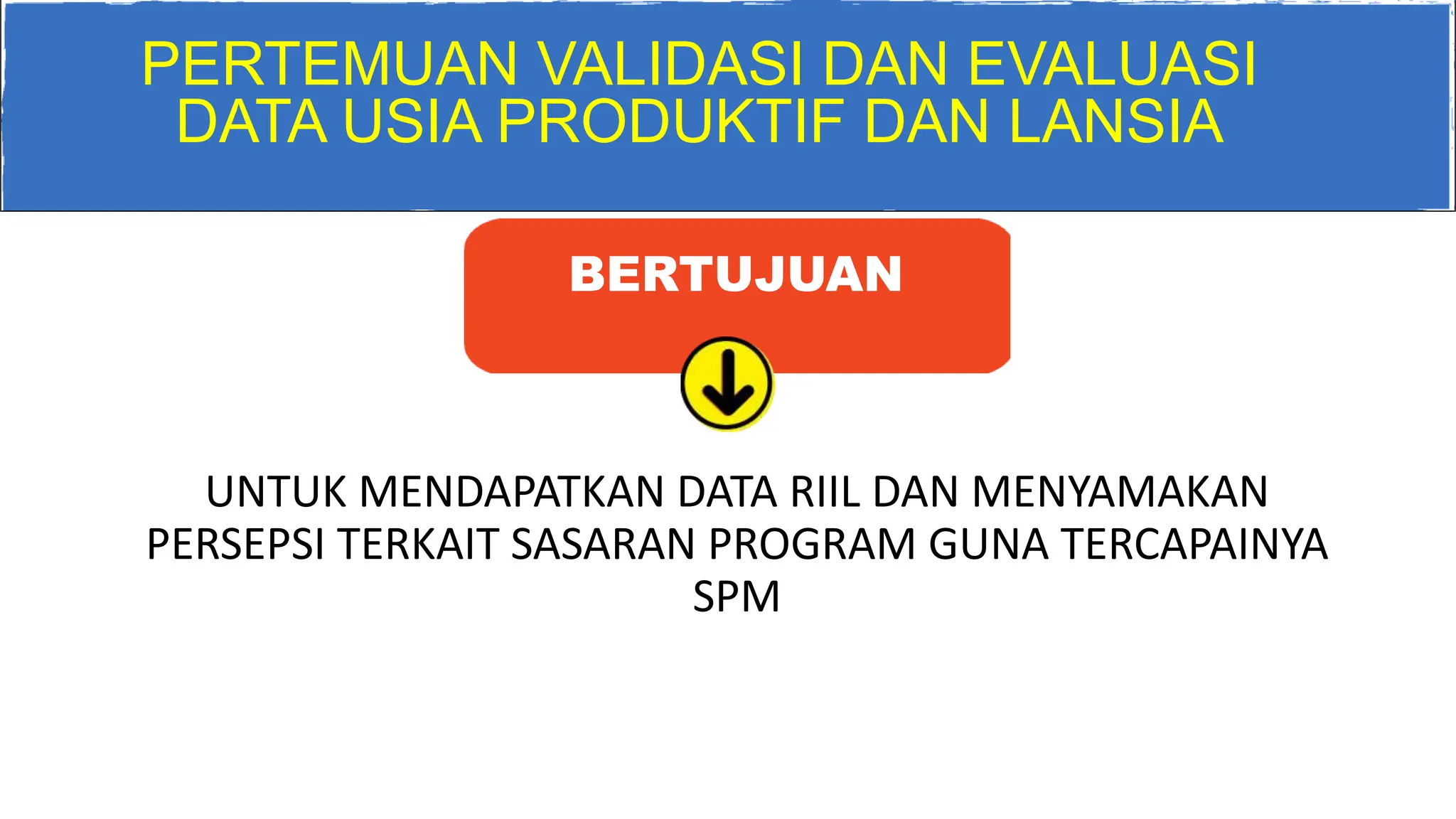 PPT Validasi Data Usia Pro dan Lansia.ppt