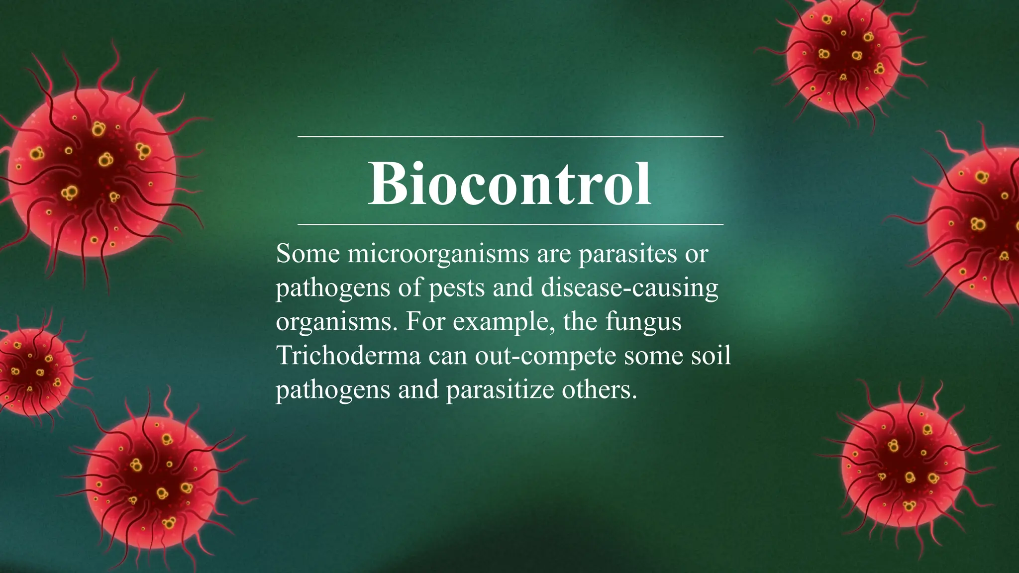 Use of soil microorganisms for pest and disease control | PPTX