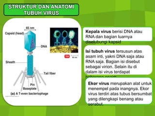 Ppt virus dan bakteri | PPTX