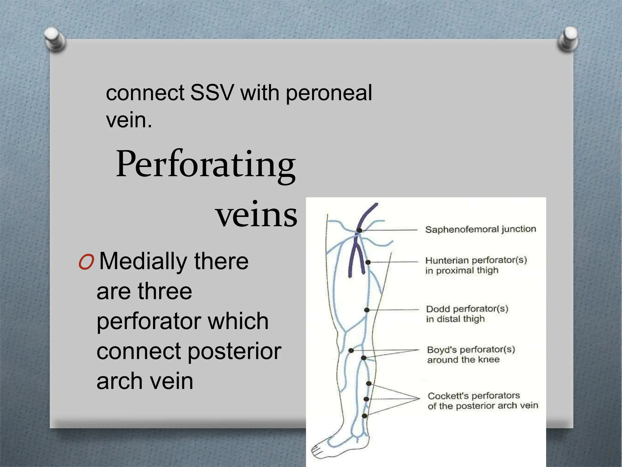 Anatomy of the venous system of lower limb | PPT