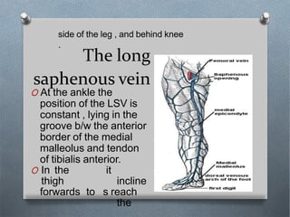Anatomy of the venous system of lower limb | PPT
