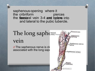 Anatomy of the venous system of lower limb | PPT