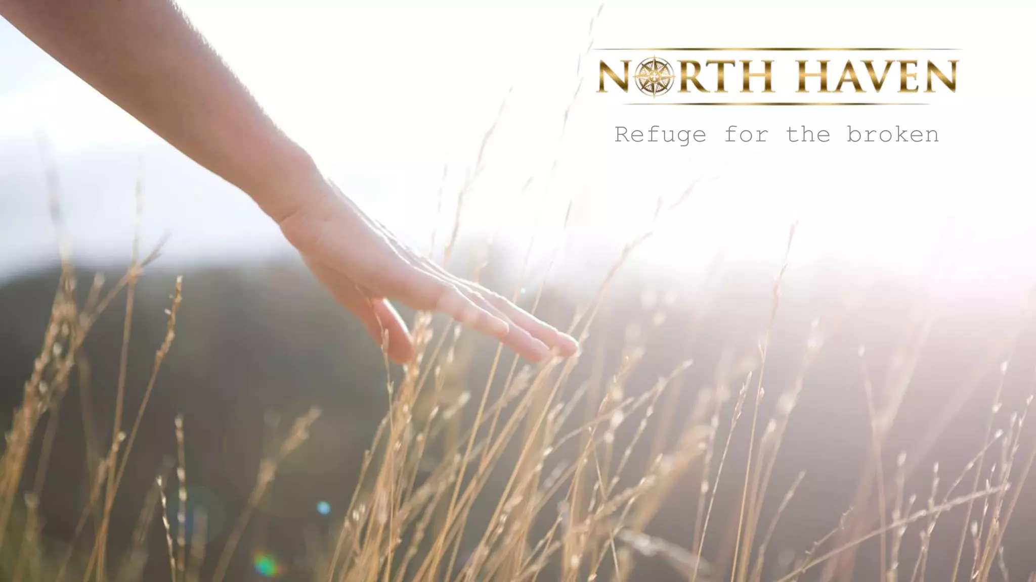 Ppt verbiage basic | PPT