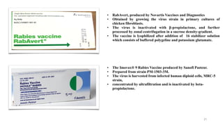 Vero cells for vaccine production | PDF