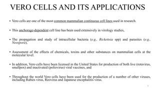 Vero cells for vaccine production | PDF