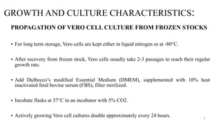 Vero cells for vaccine production | PDF