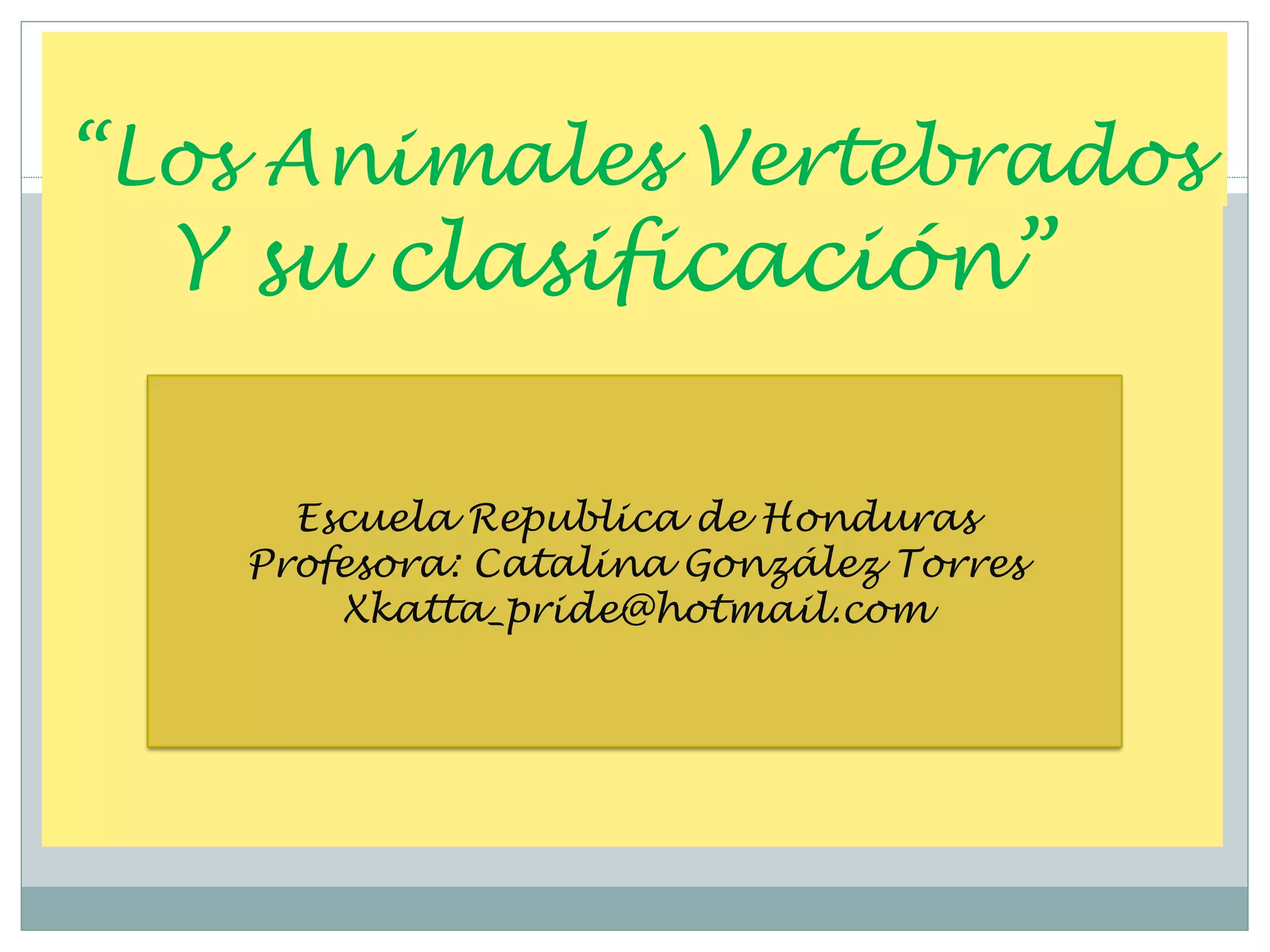Ppt vertebrados universidad | PPT