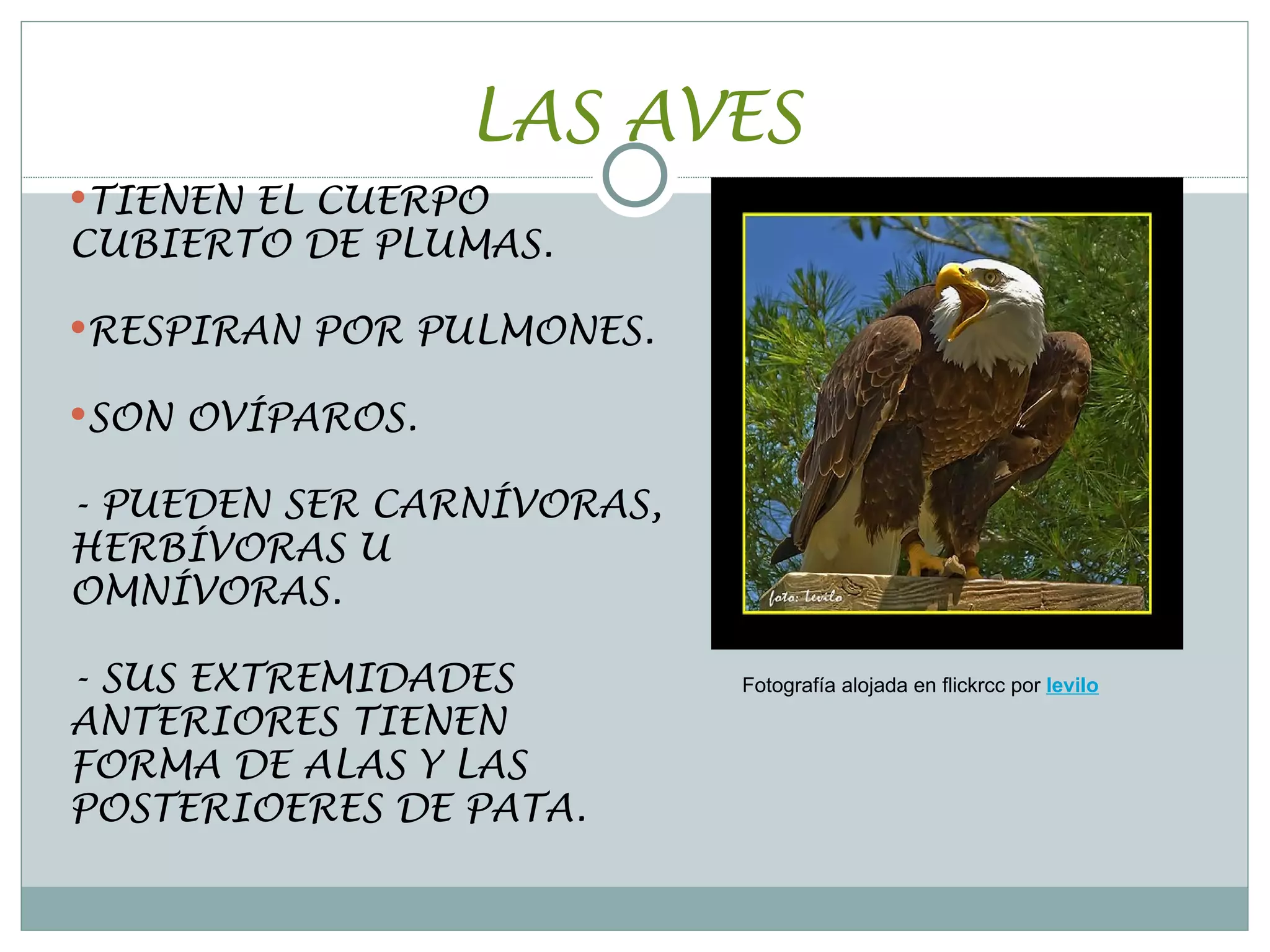 Ppt vertebrados universidad | PPT