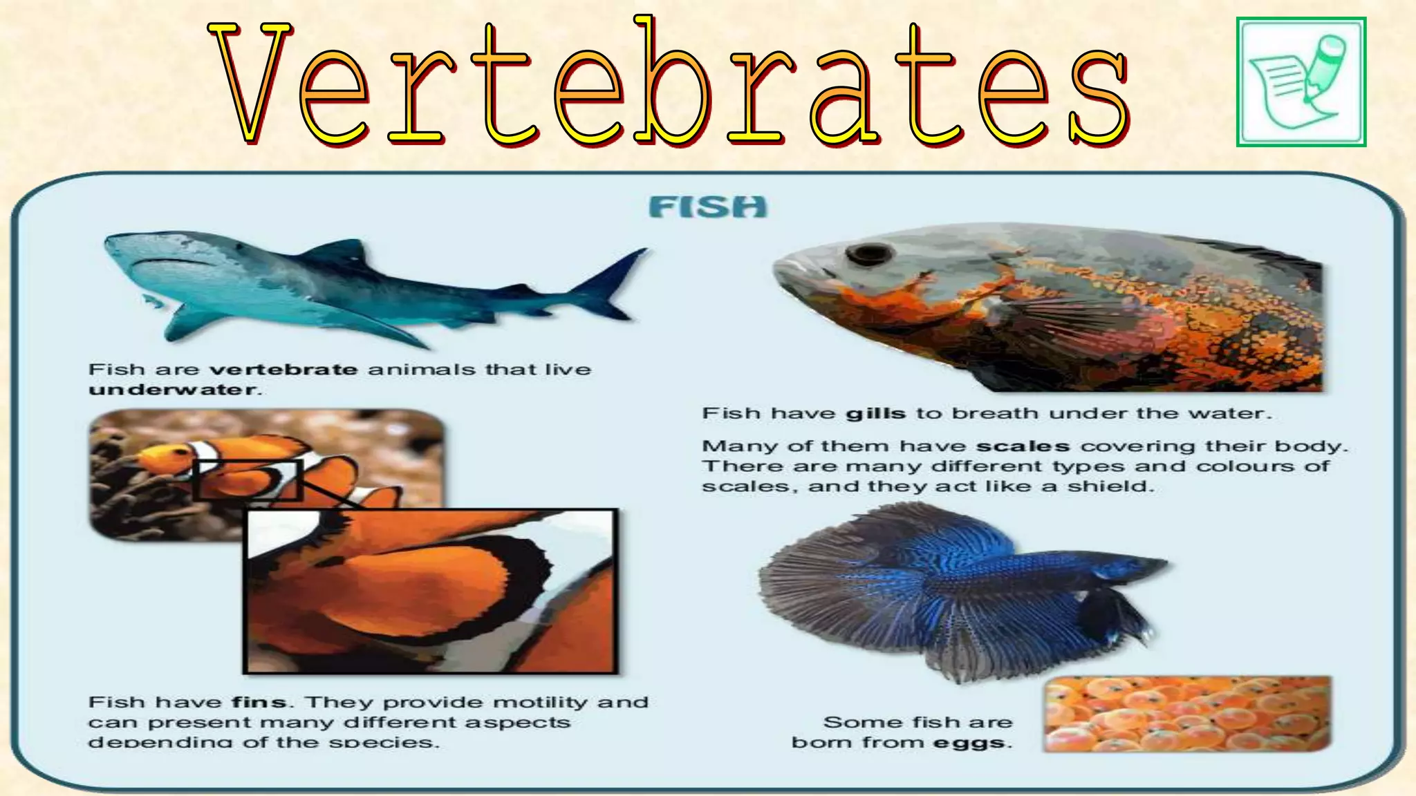 PPT Vertebrates Demo Teaching.pptx