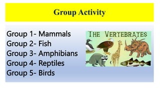PPT Vertebrates Demo Teaching.pptx