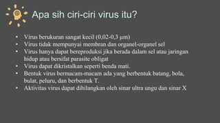 PPT VIRUS.pptx