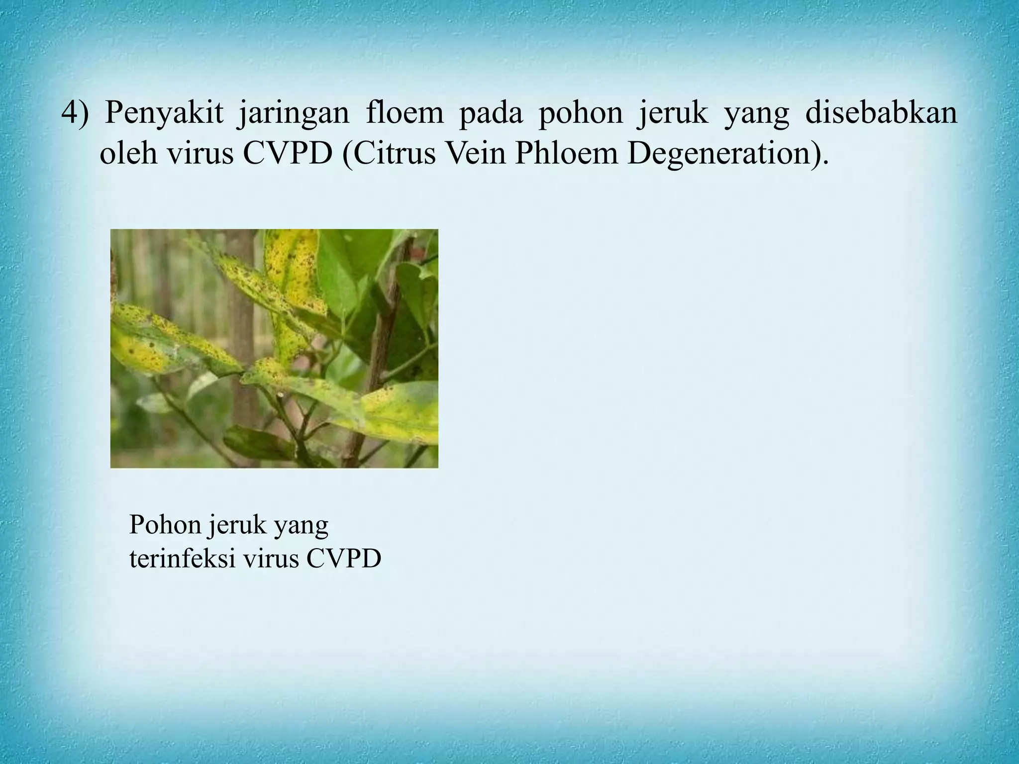 Ppt Virus.pptx