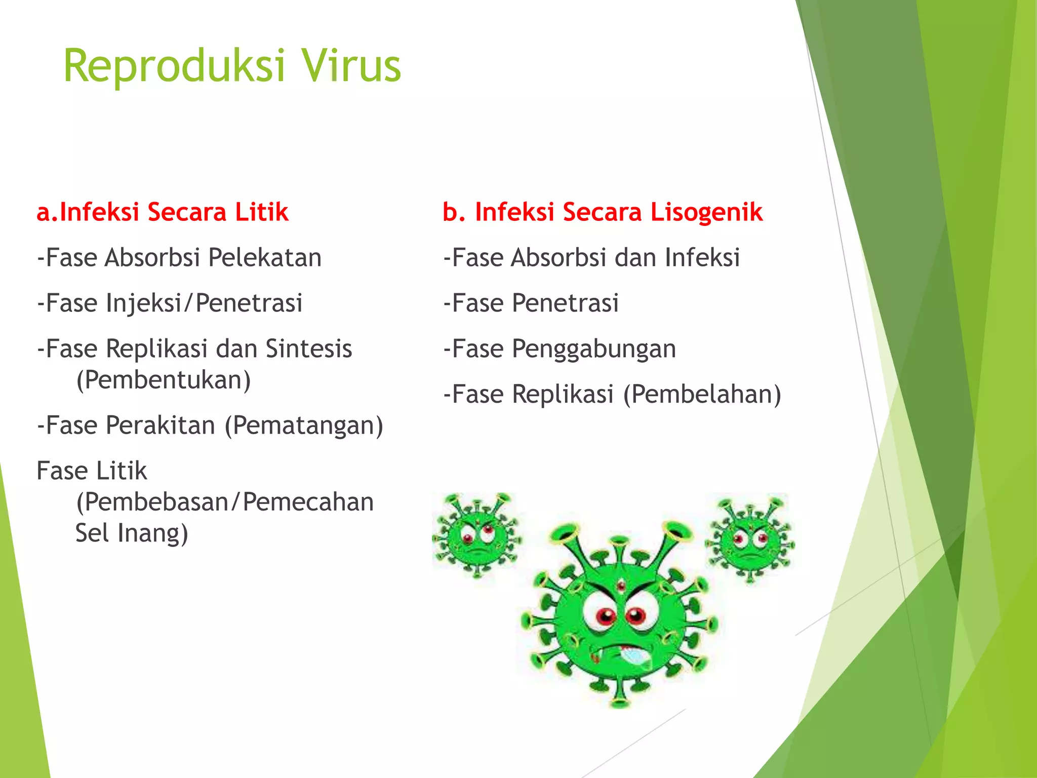 ppt virus.pptx