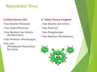 ppt virus.pptx