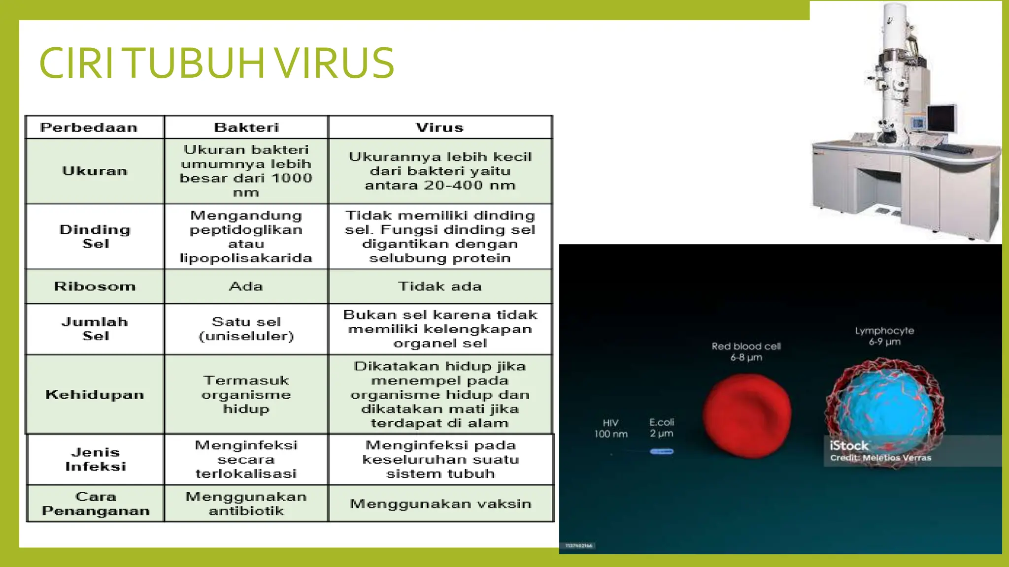 PPT VIRUS.ppt