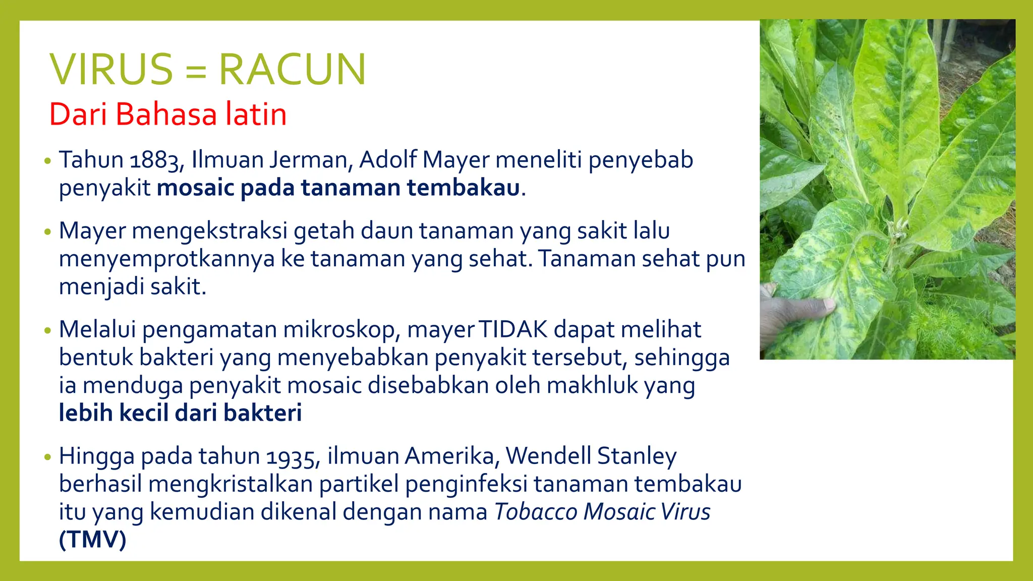 STRUKTUR DAN REPLIKASI VIRUS | PPT
