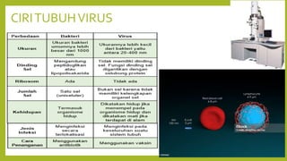 PPT VIRUS.ppt