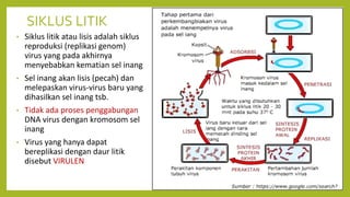 PPT VIRUS.ppt