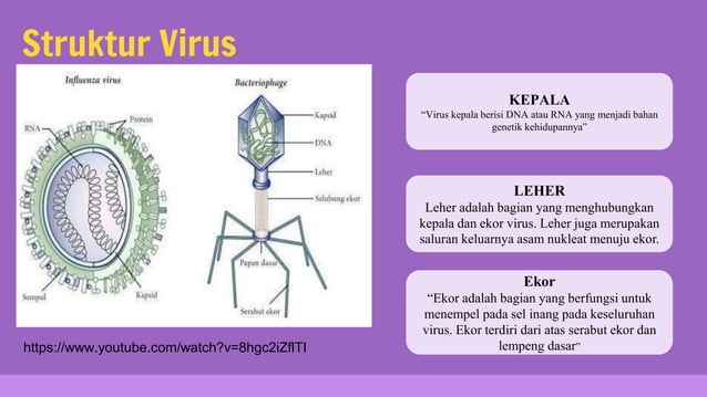 PPT VIRUS.pptx