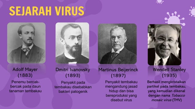 PPT VIRUS.pptx