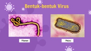PPT VIRUS.pptx