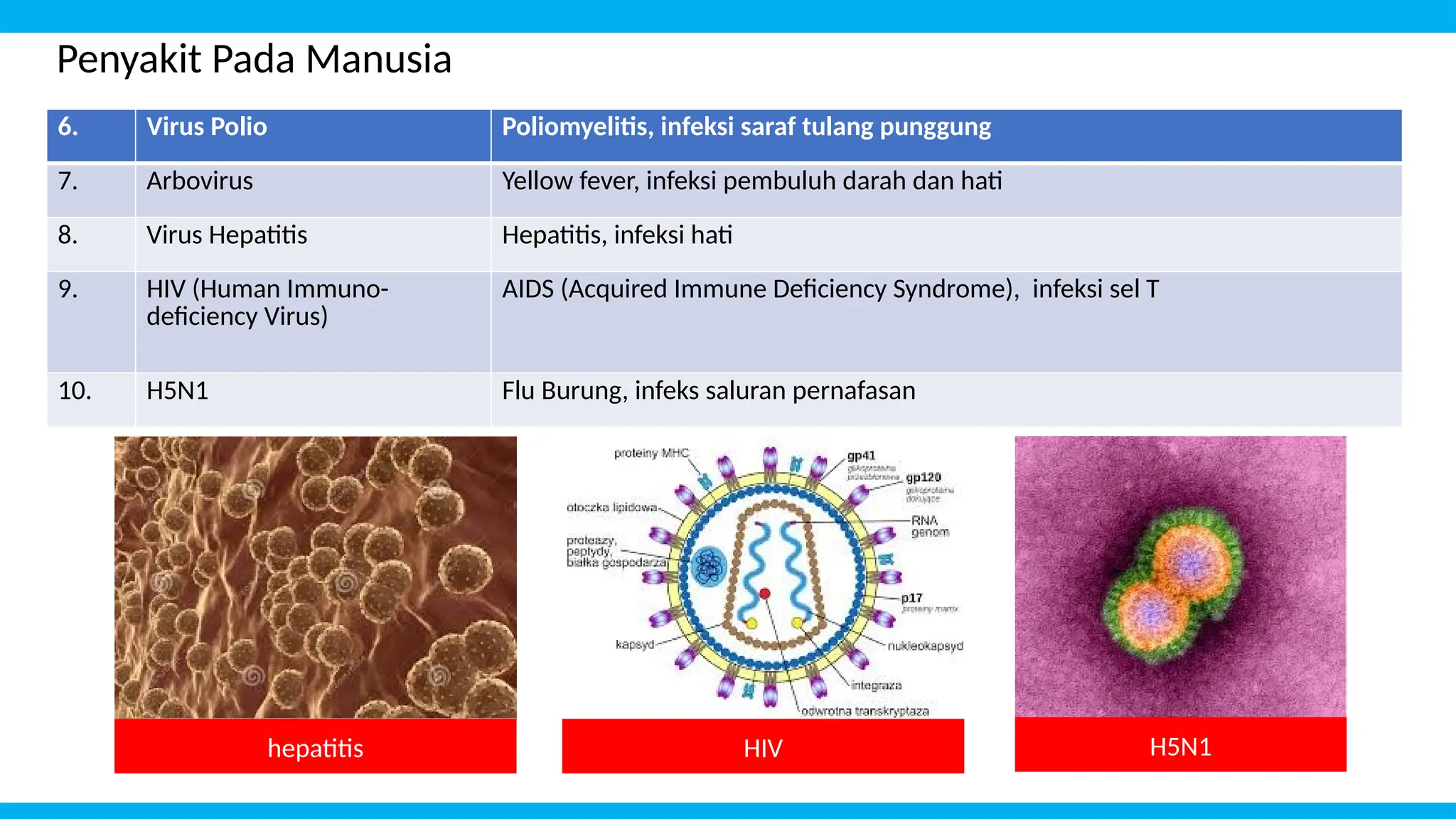 PPT VIRUS FASE E KURIKULUM MERDEKA BIOLOGI | PPTX