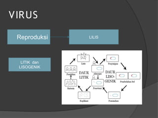 ppt_virus_biologi.ppt.pptx