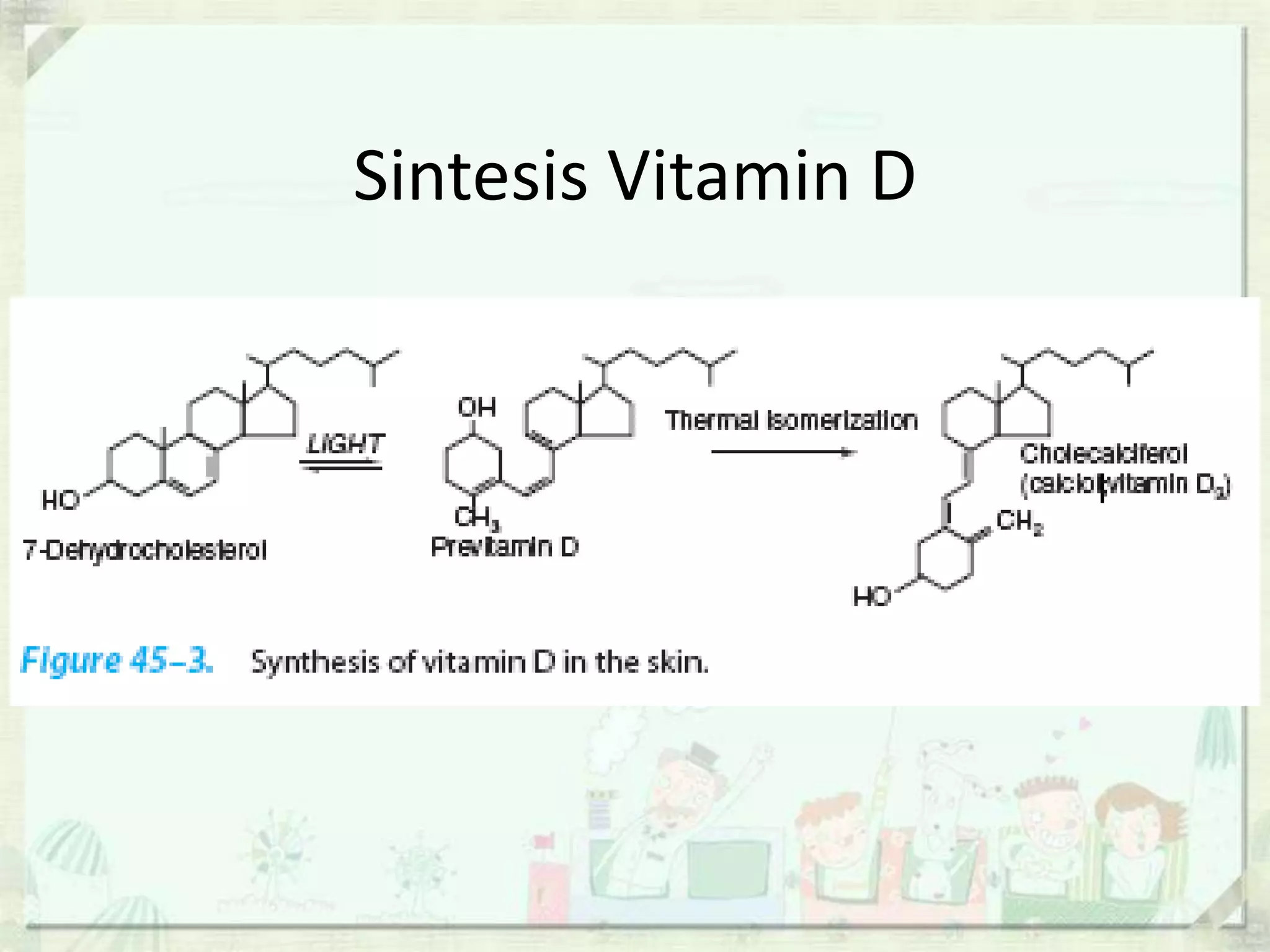 PPT Biokimia Nutrisi - Metabolisme Vitamin D | PPTX
