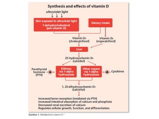 PPT Biokimia Nutrisi - Metabolisme Vitamin D | PPTX