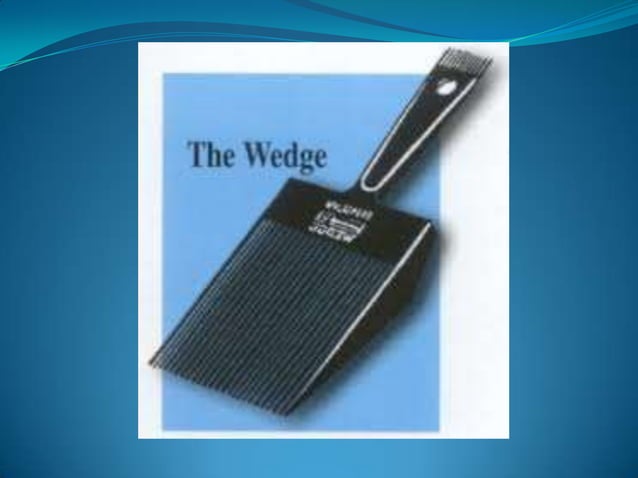 Wedge | PPT