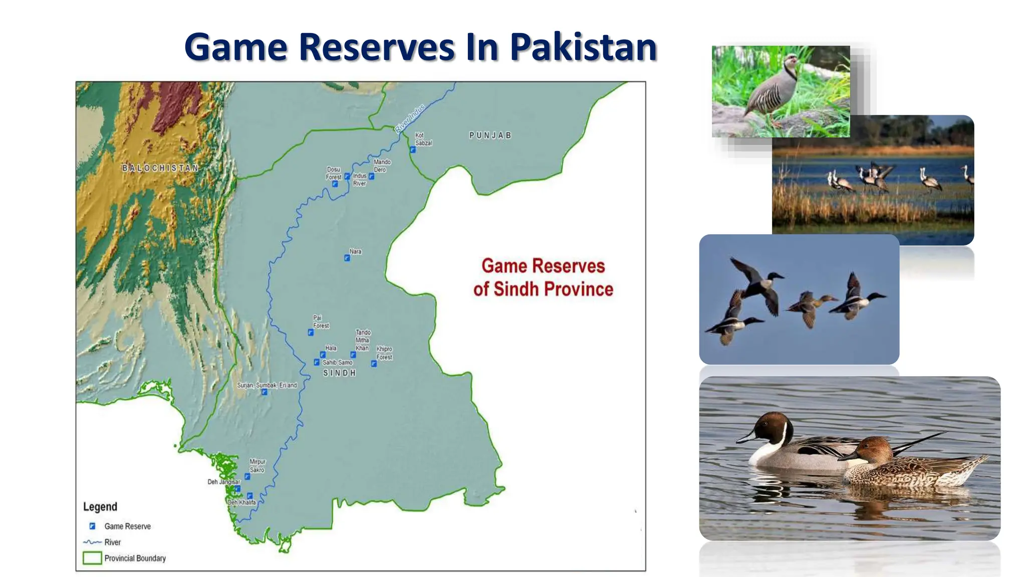 National parks, wildlife sanctuaries , game reserves , wetland of ...