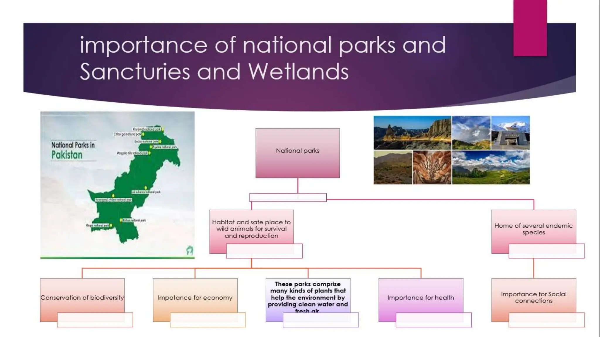 National parks, wildlife sanctuaries , game reserves , wetland of ...