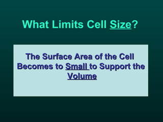 Ppt why cells divide ii #1 1 | PPT