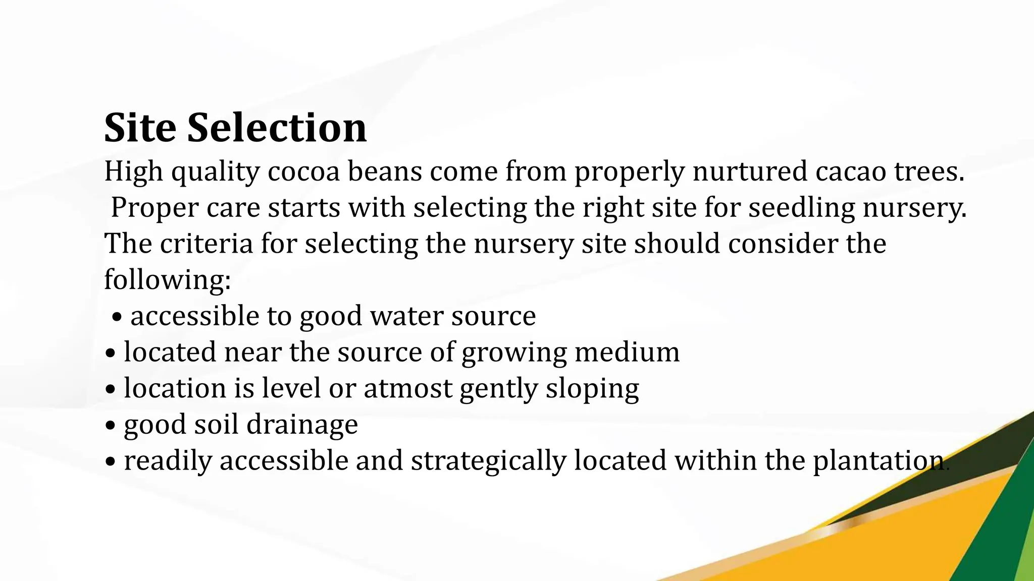 CACAO NURSERY ESTABLISHMENT AND MANAGEMENT.pptx