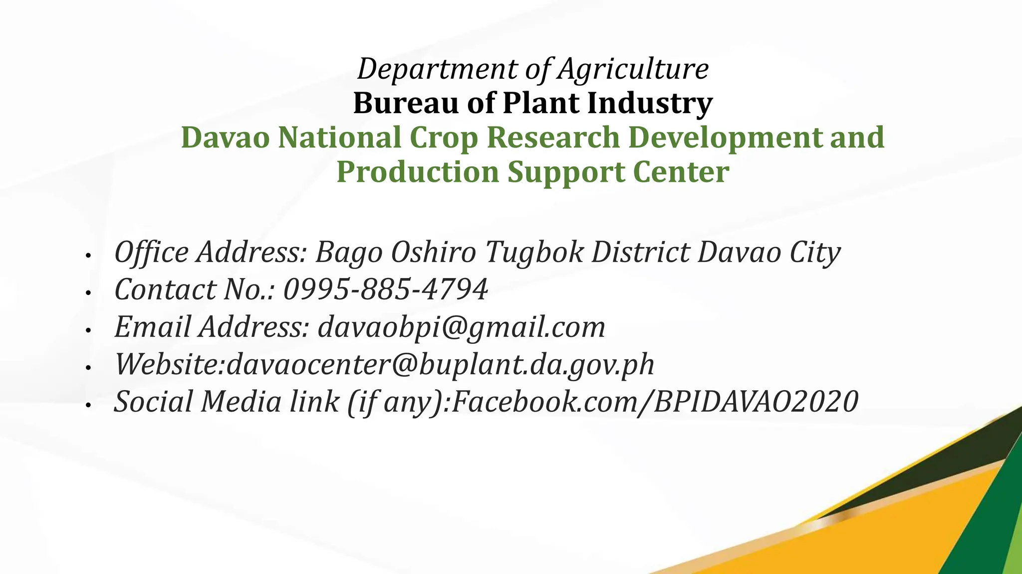 CACAO NURSERY ESTABLISHMENT AND MANAGEMENT.pptx