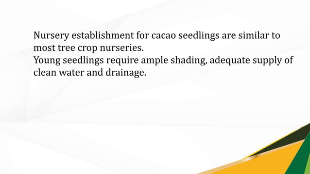 CACAO NURSERY ESTABLISHMENT AND MANAGEMENT.pptx | Agriculture | Industries