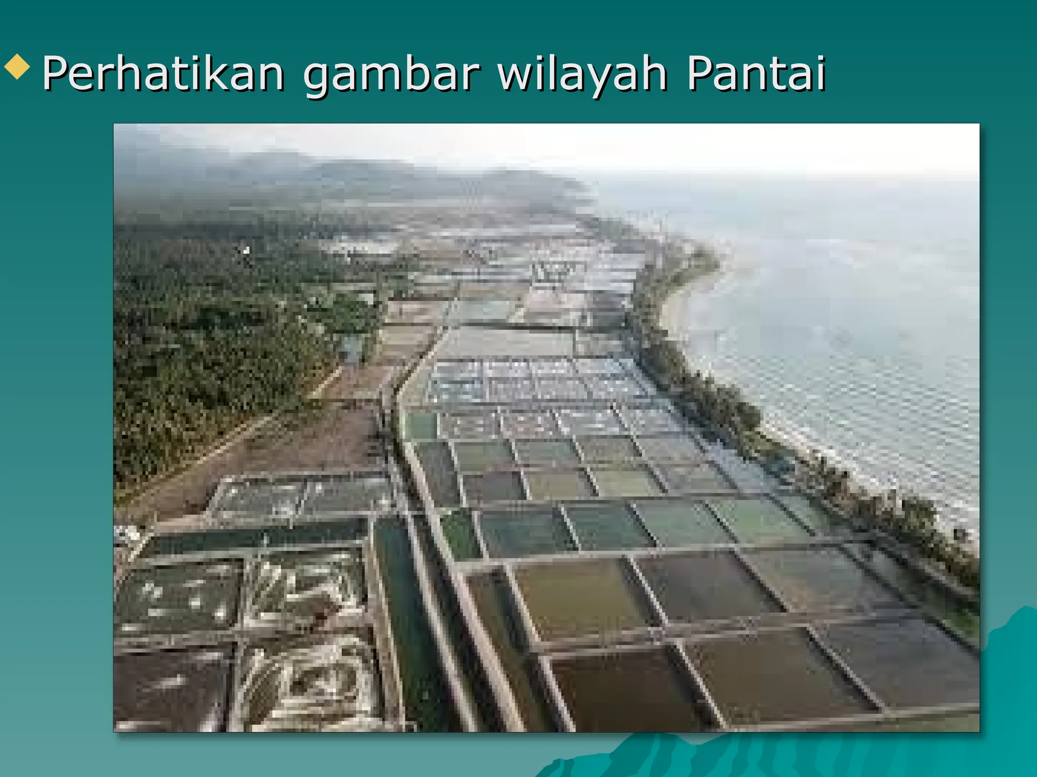 ppt wilayah dan pewilayahan geografi xii | PPT