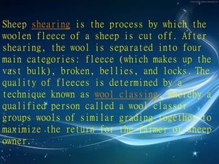 Wool From:- Saurav | PPT