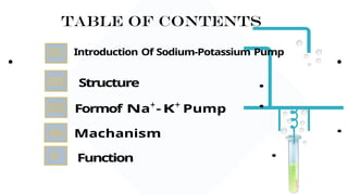 Topic : Sodium (Na+)-Potassium (K+) Pump | DOCX
