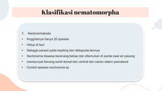 Ppt worm like animal (gastrotricha, acantocepahala, nematomorpha ...