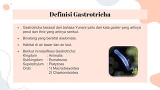 Ppt worm like animal (gastrotricha, acantocepahala, nematomorpha ...