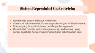Ppt worm like animal (gastrotricha, acantocepahala, nematomorpha ...