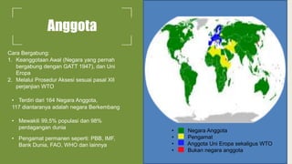 PPT_WTO.pptx